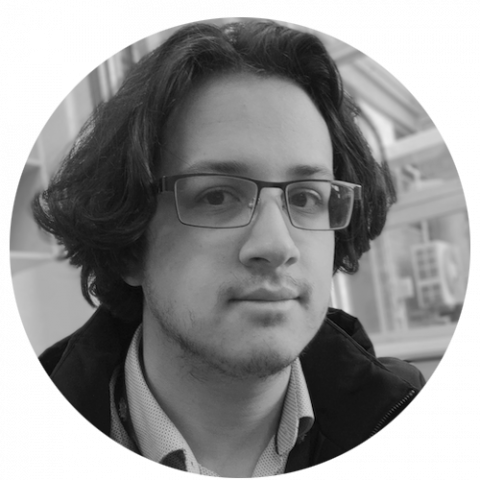 Our team | Bedford Research Group